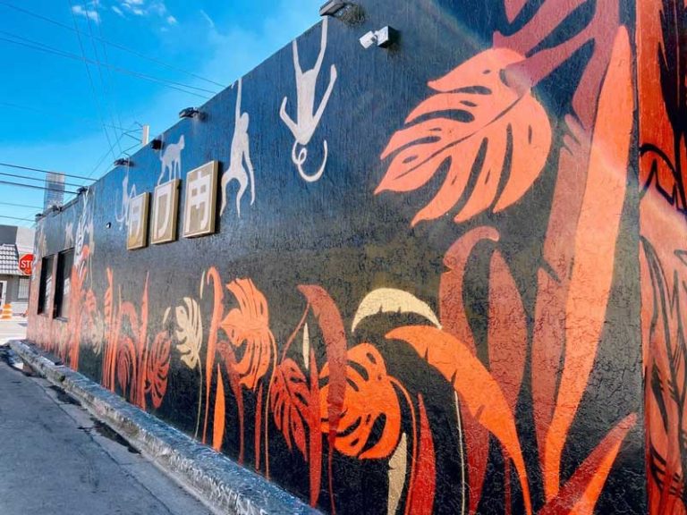 25 Best & Fun Things to Do in Wynwood (Miami) - The Tourist Checklist