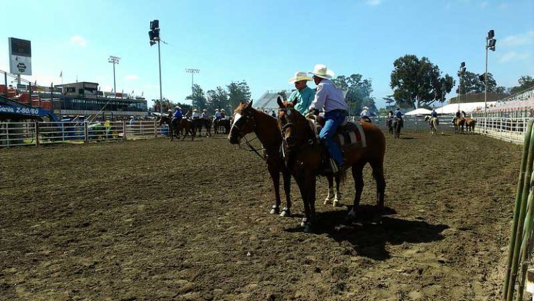 23 Best & Fun Things to Do in Salinas (CA) - The Tourist Checklist