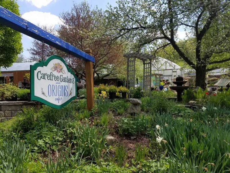 26 Best & Fun Things to Do in Cooperstown (NY) - The Tourist Checklist