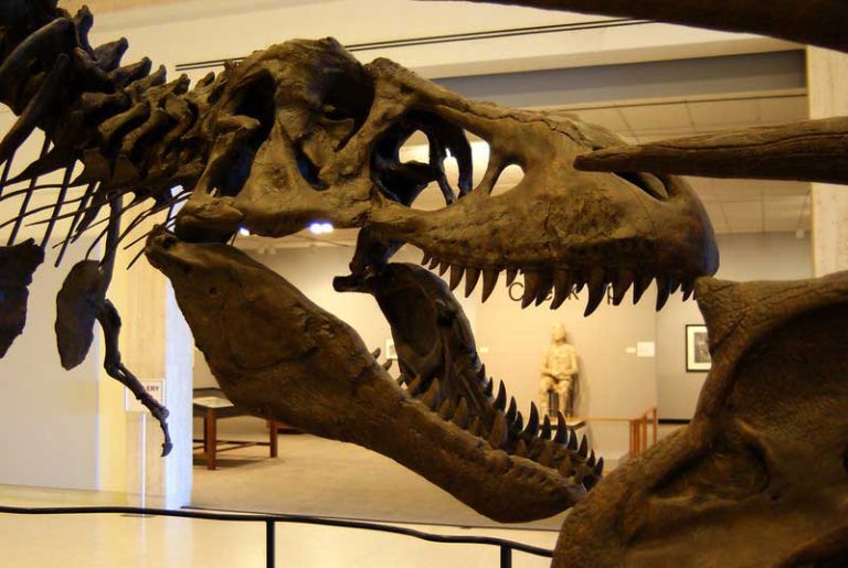 27 Best & Fun Things to Do in Lubbock (TX) - The Tourist Checklist