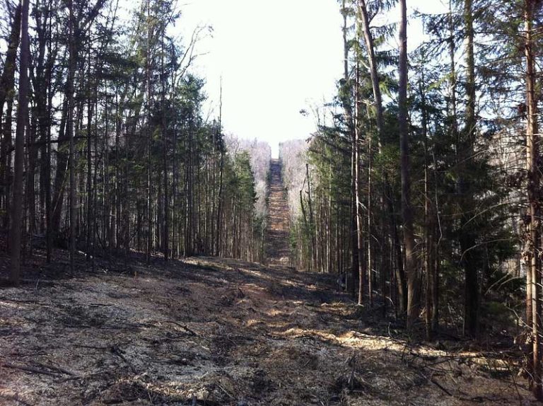 25 Best & Fun Things to Do in Reading (PA) - The Tourist Checklist