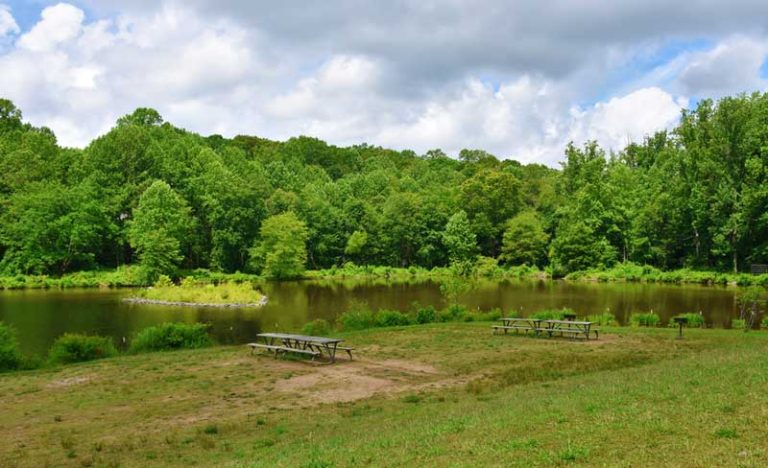 27 Best And Fun Things To Do In Fairfax Va The Tourist Checklist