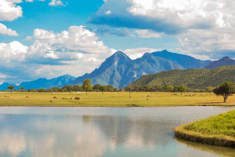 23 Best & Fun Things to Do in Monterrey (Mexico) - The Tourist Checklist