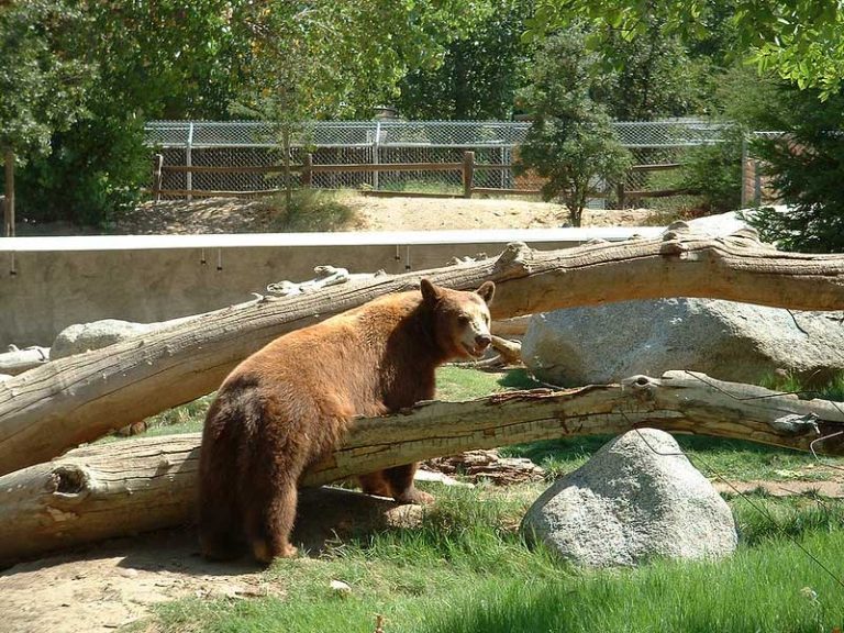 30 Best & Fun Things to Do in Bakersfield (CA) - The Tourist Checklist