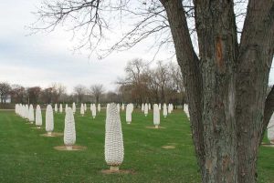 28 Best & Fun Things to Do in Dublin (Ohio) - The Tourist Checklist