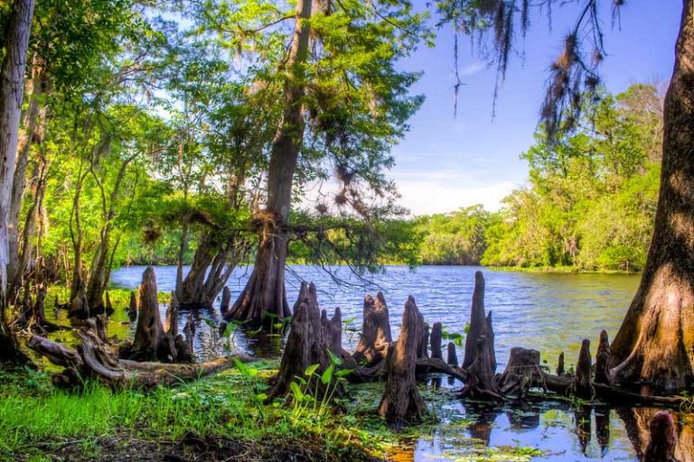 26 Best & Fun Things to Do in DeLand (FL) - The Tourist Checklist