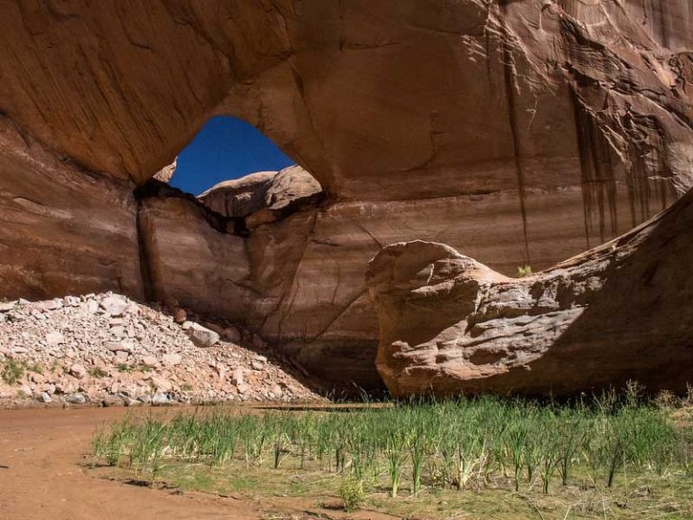 26 Best & Fun Things to Do in Lake Powell - The Tourist Checklist