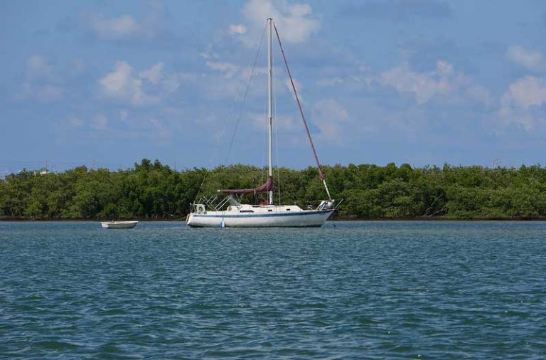 23 Best & Fun Things to Do in New Smyrna Beach (FL) - The Tourist Checklist