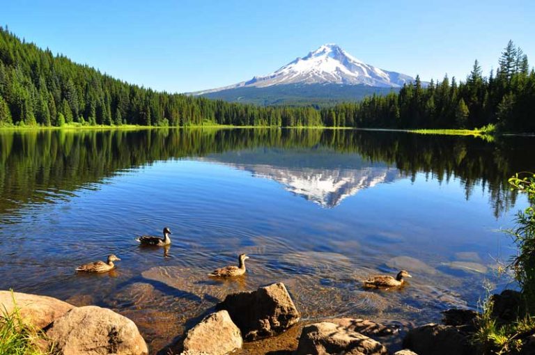 23 Best & Fun Things to Do in Mount Hood (OR) - The Tourist Checklist