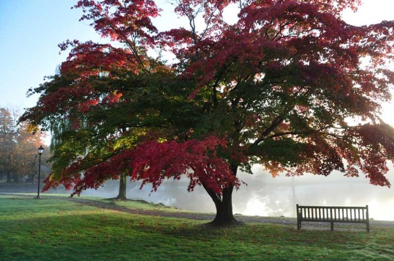 23 Best & Fun Things to Do in Greenwich (CT) - The Tourist Checklist