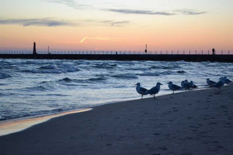 26 Best & Fun Things to Do in Muskegon (MI) - The Tourist Checklist