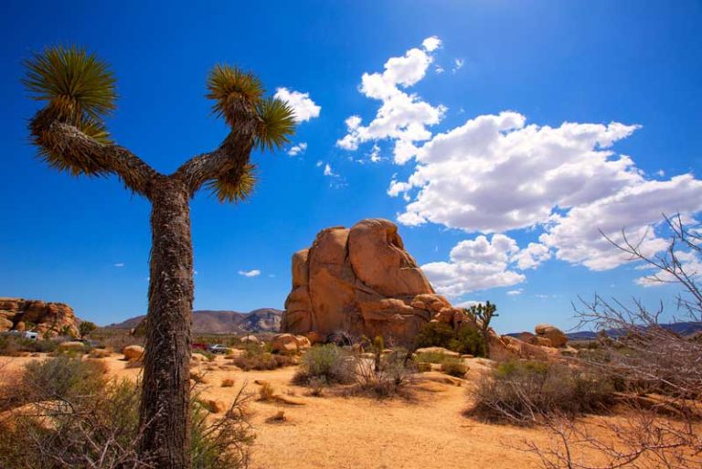 23 Best & Fun Things to Do in Yucca Valley (CA) - The Tourist Checklist