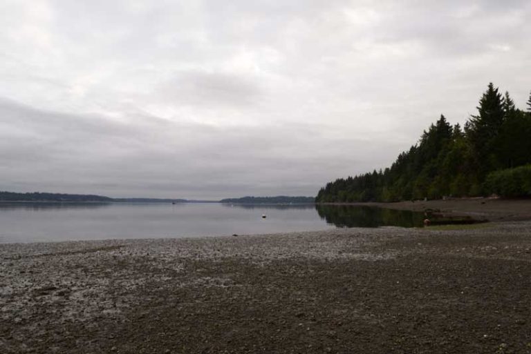 30 Best & Fun Things to Do in Olympia (WA) - The Tourist Checklist