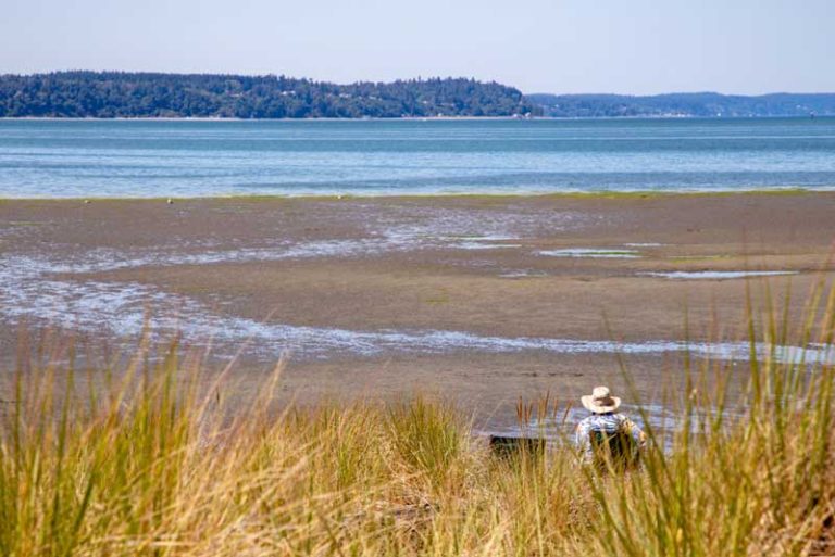 25 Best & Fun Things to Do in Everett (WA) - The Tourist Checklist