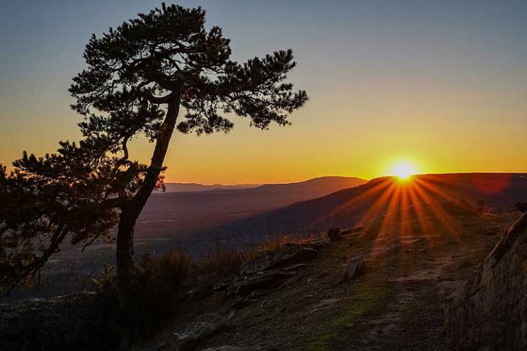 24 Best & Fun Things to Do in Russellville (AR) - The Tourist Checklist