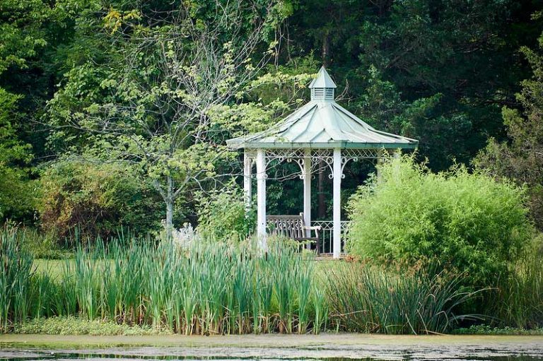 23 Best & Fun Things to Do in Ashburn (VA) - The Tourist Checklist