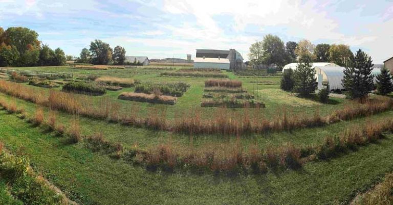 25 Best & Fun Things to Do in Perrysburg (Ohio) - The Tourist Checklist