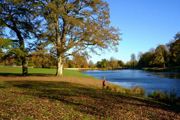 23 Best & Fun Things to Do in Swindon (Wiltshire, England) - The ...