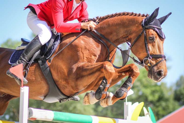 26 Best & Fun Things to Do in Driggs (Idaho) - The Tourist Checklist