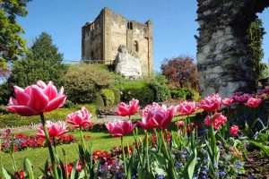 23 Best & Fun Things to Do in Guildford (Surrey, England) - The Tourist ...