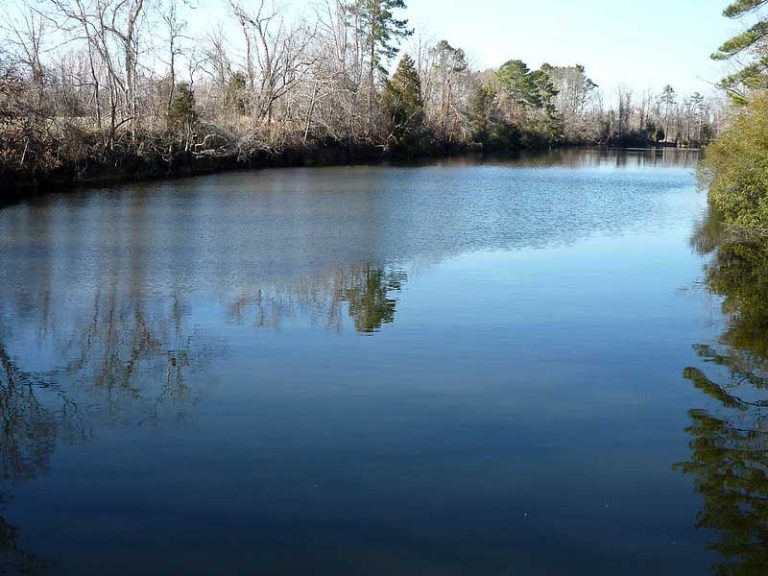 24 Best & Fun Things to Do in Suffolk (VA) - The Tourist Checklist