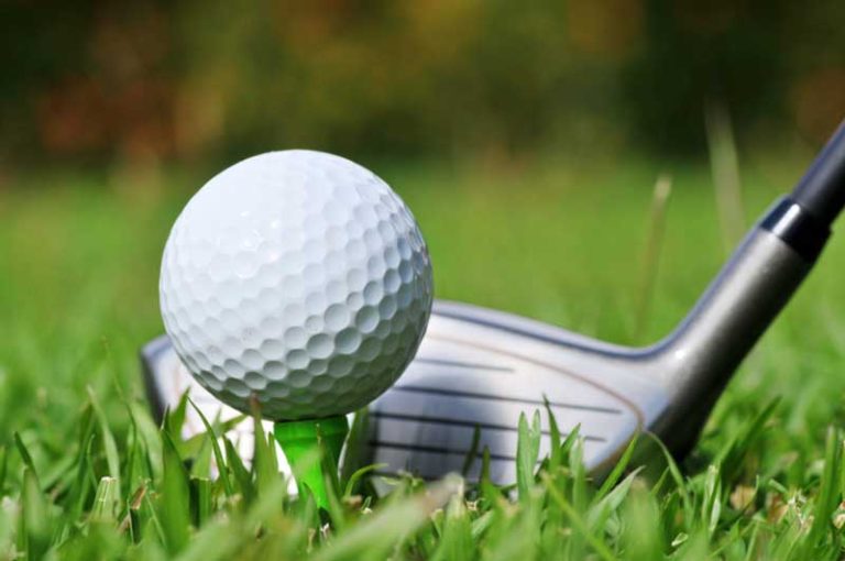 25 Best & Fun Things to Do in Novi (MI) - The Tourist Checklist