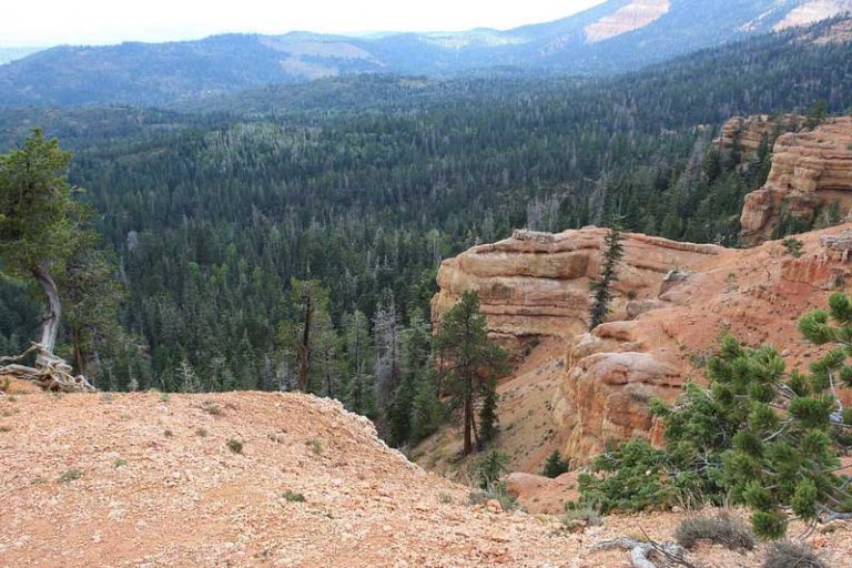 26 Best & Fun Things to Do in Cedar City (Utah) - The Tourist Checklist