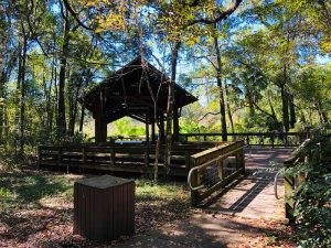 15 Best Parks in Gainesville, FL - The Tourist Checklist
