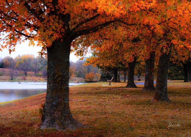 25 Best & Fun Things to Do in Olathe (KS) - The Tourist Checklist