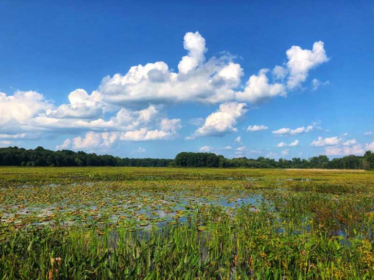 25 Best & Fun Things to Do in Elkhart (Indiana) - The Tourist Checklist