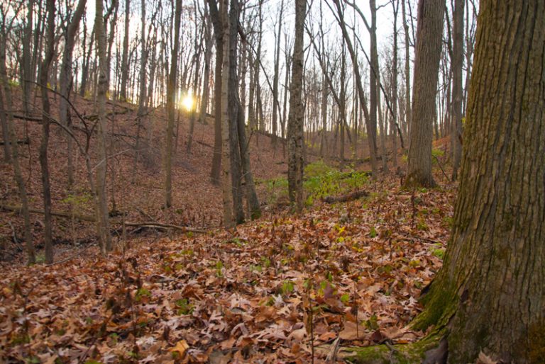 23 Best & Fun Things to Do in Anderson (Indiana) - The Tourist Checklist