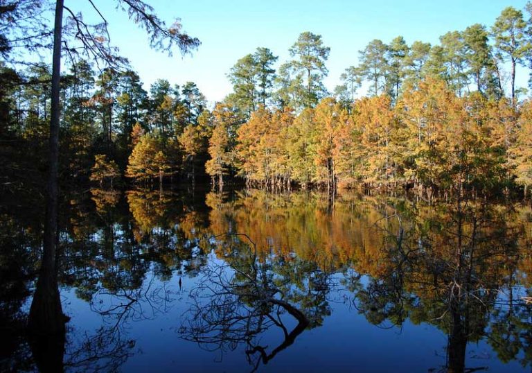 17 Best Parks in Spring (TX) - The Tourist Checklist