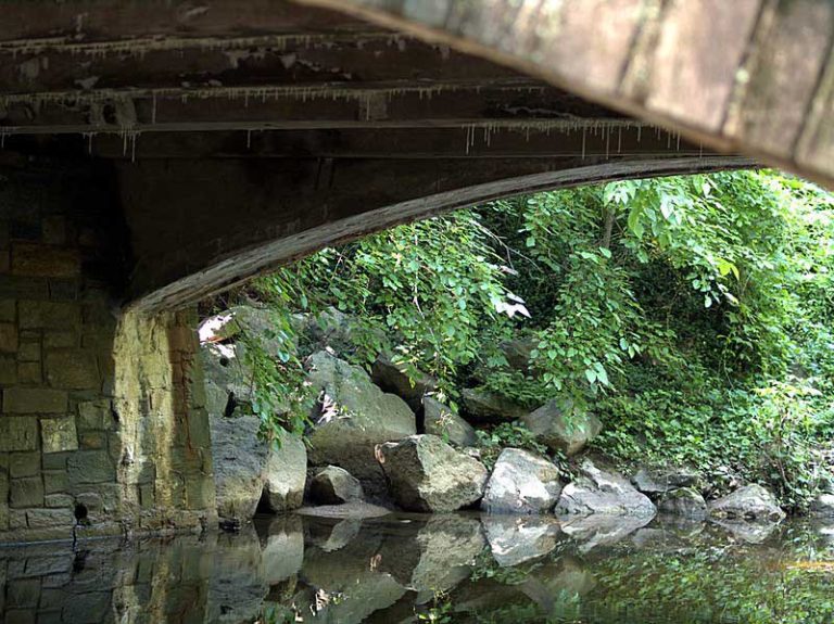 26 Best & Fun Things to Do in Silver Spring (MD) - The Tourist Checklist