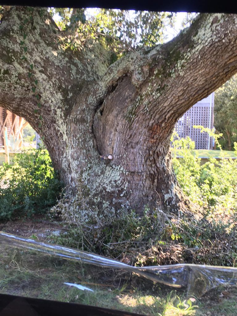 18 Best & Fun Things to Do in Frisco (NC) - The Tourist Checklist