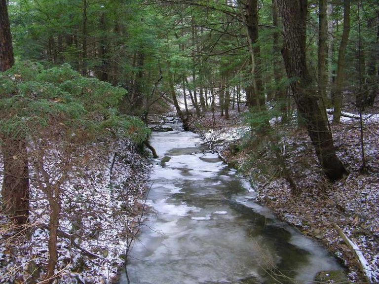 15 Best Things to Do in Butler (PA) - The Tourist Checklist