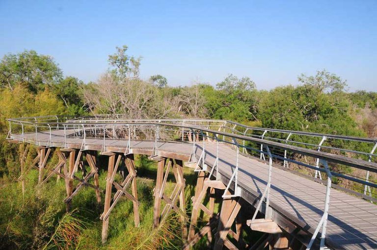 16 Best Parks in McAllen, TX - The Tourist Checklist