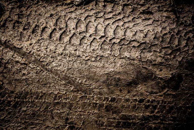 15 Best Race Tracks in South Carolina - The Tourist Checklist