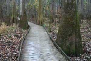 15 Best Parks in Lexington, SC - The Tourist Checklist