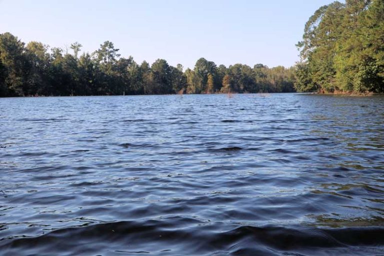 15 Best Parks in Lexington, SC - The Tourist Checklist
