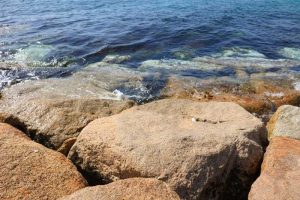 5 Best Islands in Oregon - The Tourist Checklist