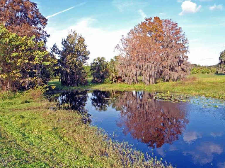 23 Best & Fun Things to Do in Inverness (FL) - The Tourist Checklist