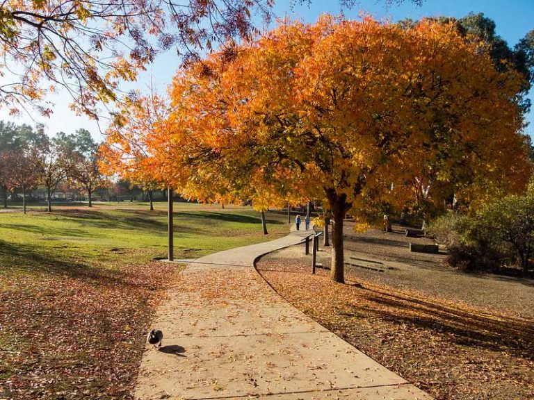 15 Best Parks in San Jose, CA - The Tourist Checklist