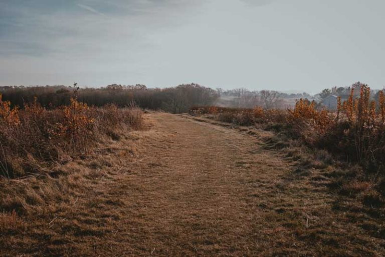 15 Best Parks in Rochester, MN - The Tourist Checklist