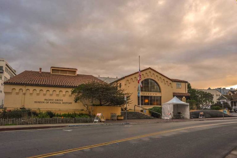 23 Best & Fun Things to Do in Pacific Grove (CA) - The Tourist Checklist
