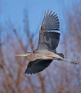 17 Best Parks in Boise, ID - The Tourist Checklist