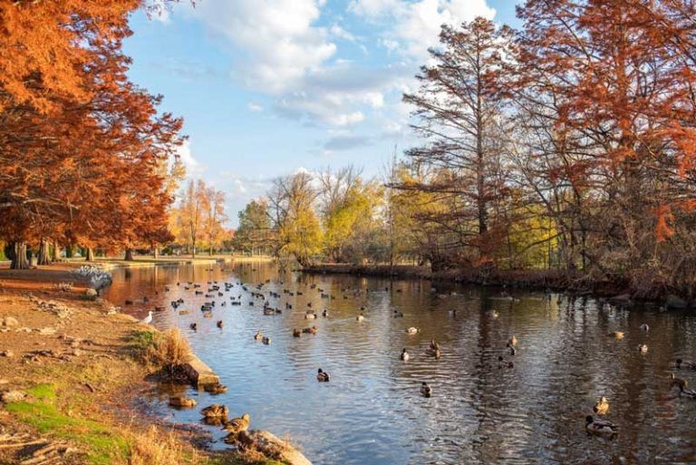 17 Best Parks in Boise, ID - The Tourist Checklist