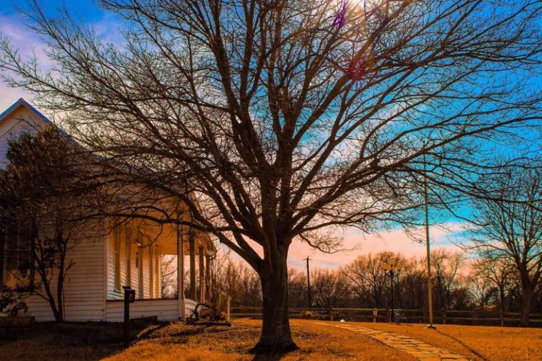 23 Best & Fun Things to Do in Rockwall (TX) - The Tourist Checklist