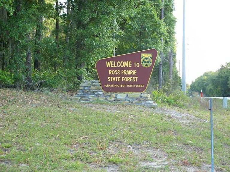25 Best & Fun Things to Do in Dunnellon (FL) - The Tourist Checklist