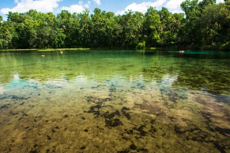 16 Most Beautiful Freshwater Springs in Florida - The Tourist Checklist