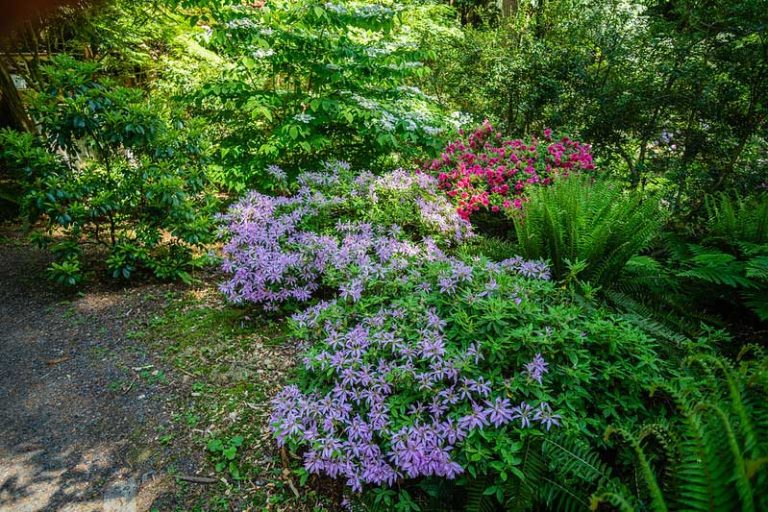 15 Best Parks in Bellingham, WA - The Tourist Checklist
